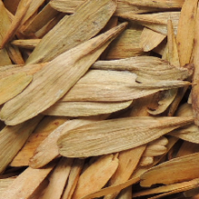 Urapán | Semillas CampoSeeds - Venta de semillas en Colombia