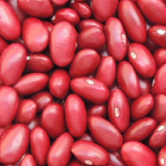 Frijol Cerinza | Semillas CampoSeeds - Venta de semillas en Colombia