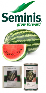 Sandia Hibrida Santa Amelia | Semillas CampoSeeds - Venta de semillas ...